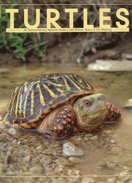 Turtles: An Extraordinary Natural History 245 Million Years in the Making