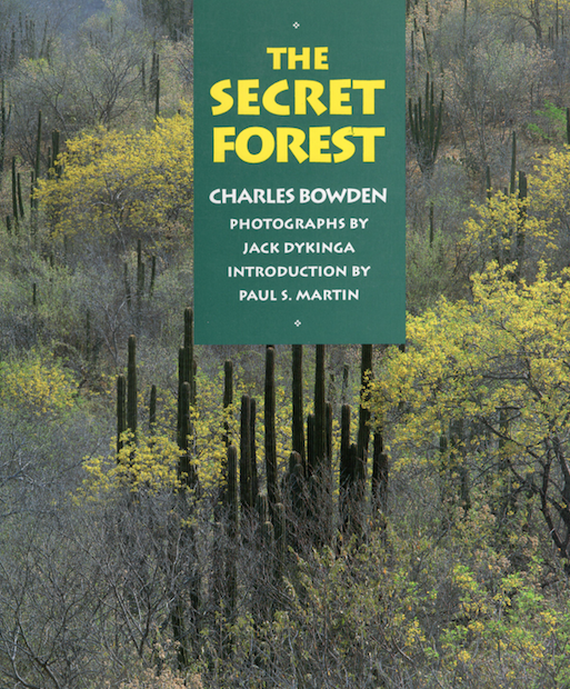 The Secret Forest