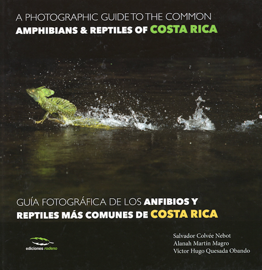 A Photographic Guide to the Common Amphibians and Reptiles of Costa ...