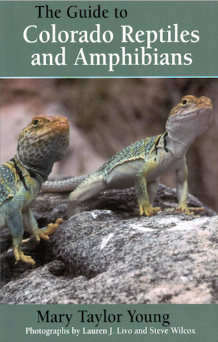 A Guide to Colorado Reptiles and Amphibians
