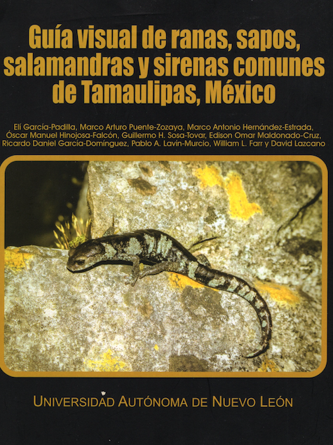 Guiá Visual de Ranas, Sapos, Salamandras y Sirenas Comunes de ...